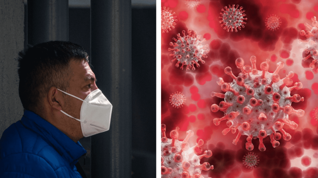 "Identificación de la Subvariante Pirola: Evaluación de Riesgos y ...